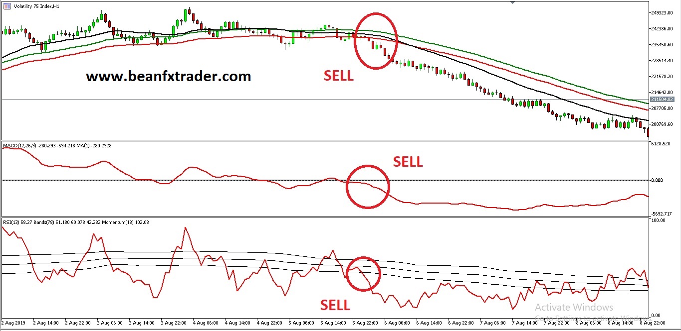 BeanFX V-75 Index Scalper 2 - FX & VIX Traders Blog